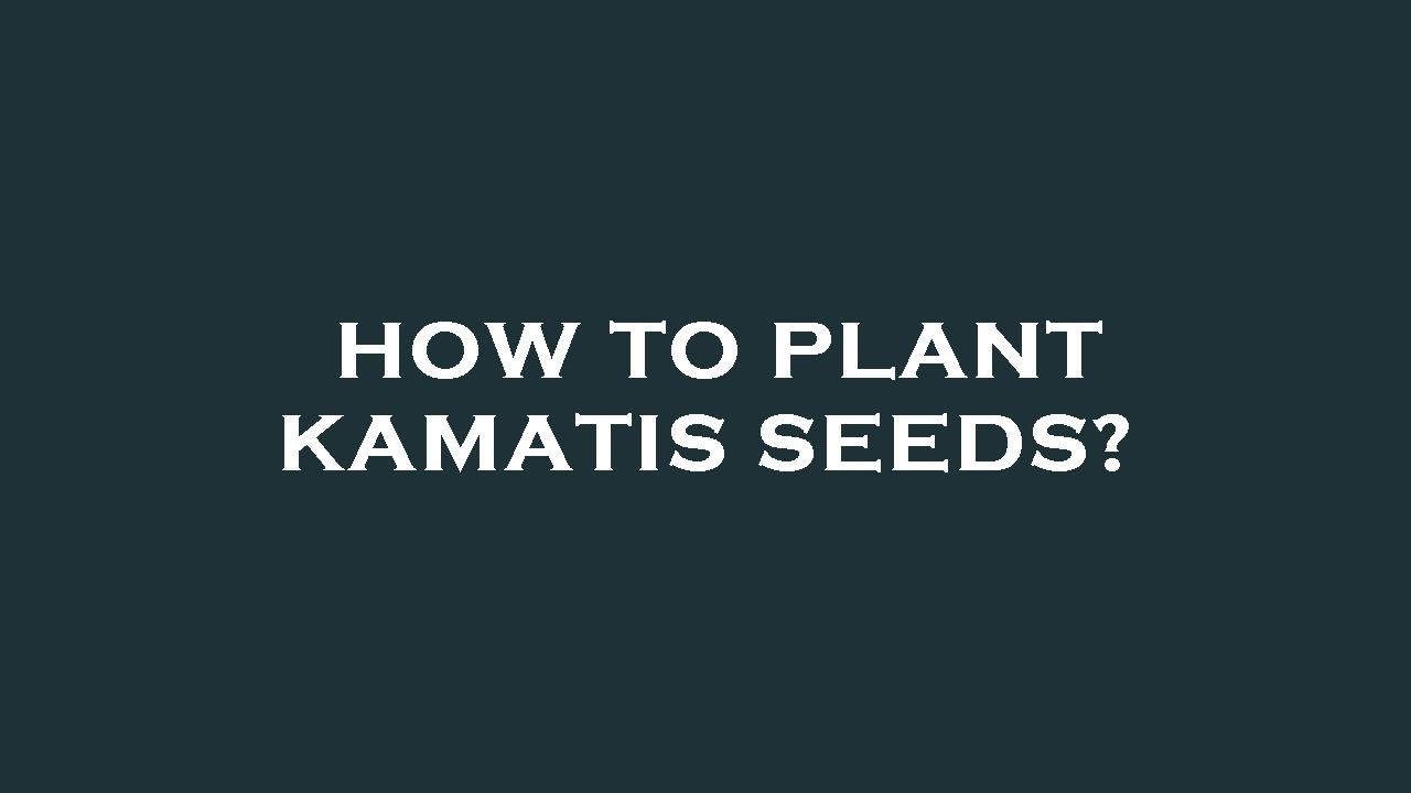 How to plant kamatis seeds? - YouTube