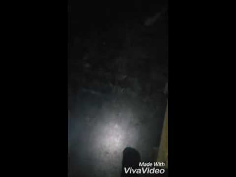 Ureyi zeyif olanlar baxmasin 18+