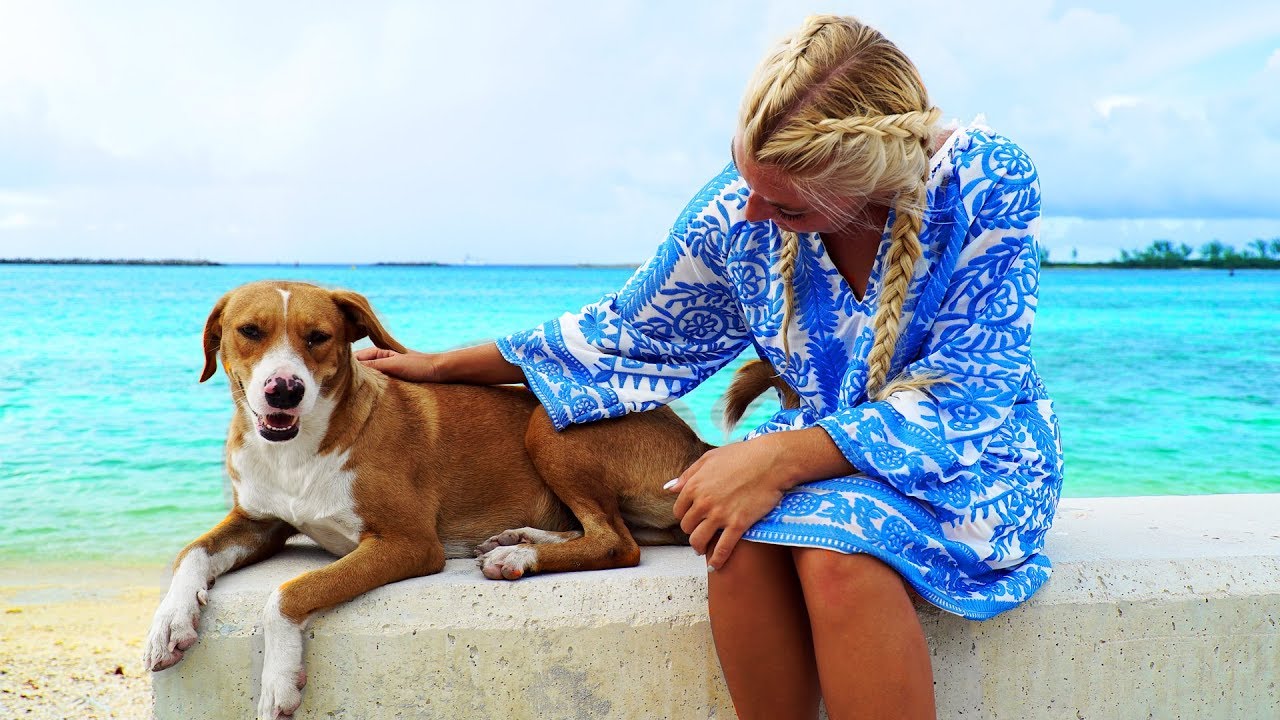 Island Dog Vlog (Super Cooper Sunday #159) - YouTube