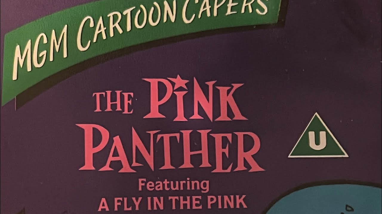 Opening to MGM Cartoon Capers: The Pink Panther featuring A Fly in the ...