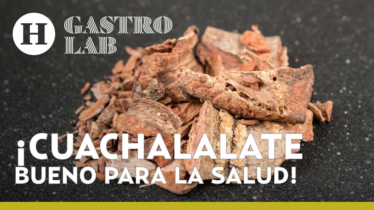¡Cura la colitis con el cuachalalate! Investigadores de la UNAM ...