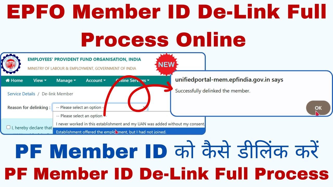 EPFO Member ID De-Link Full Process Online | PF Member ID को कैसे ...