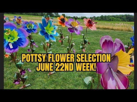 Pottsy Flower Selection June 22nd week! - YouTube
