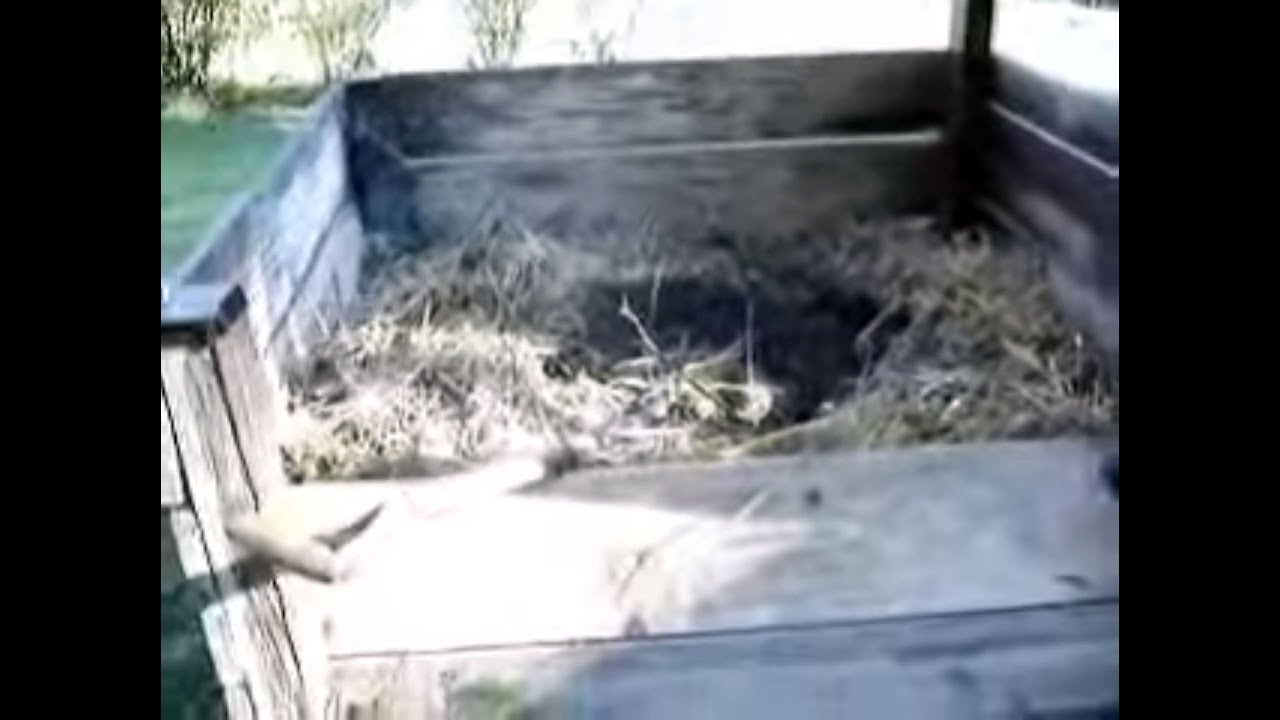 Compost Toilet Tips: Steaming Compost - YouTube