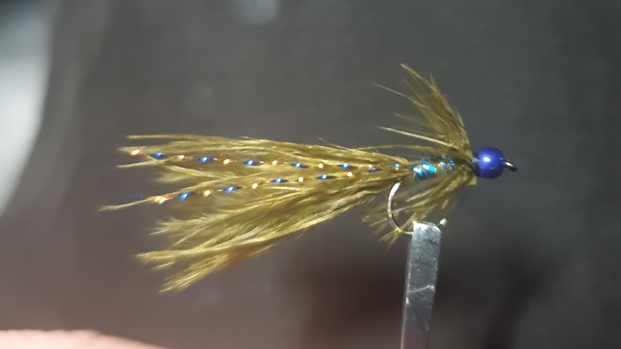 Blue Flash Damsel fly - YouTube