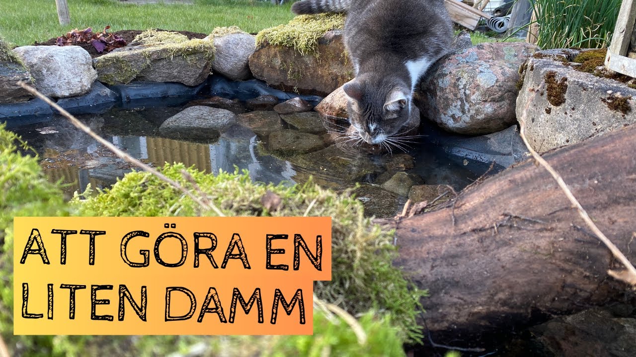 Att göra en liten damm - Hur jag gjorde dammen steg för steg - YouTube