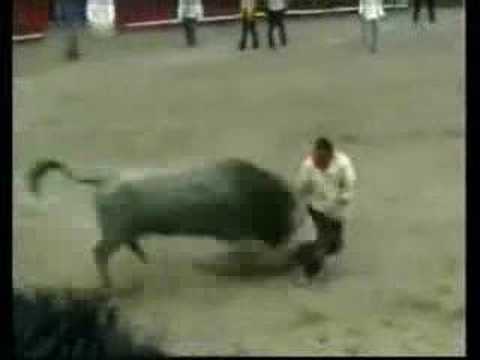Bull Vs Man - YouTube