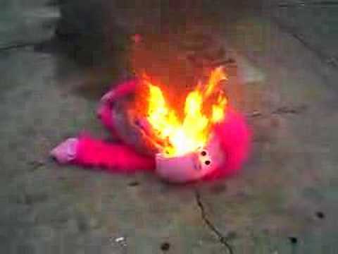 Burning Monkey - YouTube