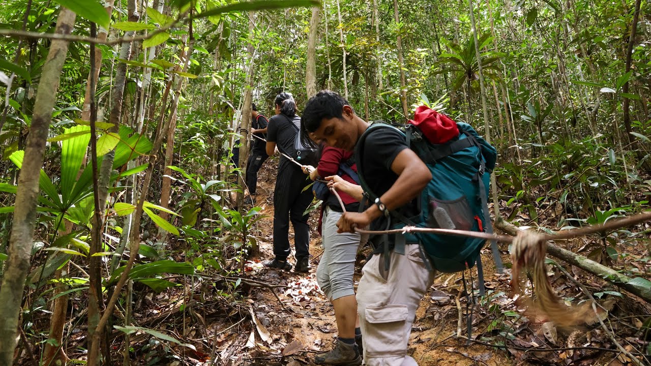 Eco Park - Palawan Hiking at Panbil Nature Reserve - YouTube