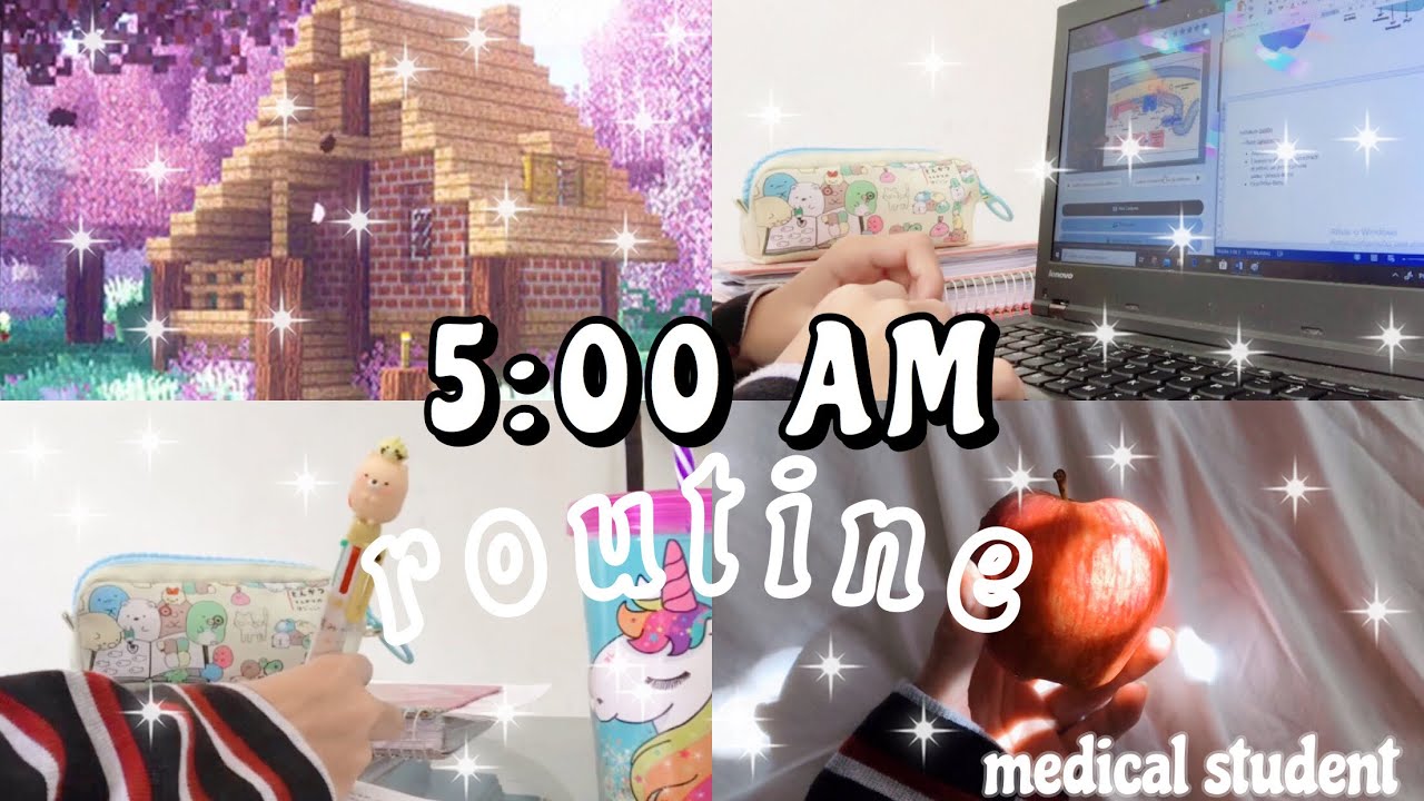 early morning study routine 🍄 - YouTube
