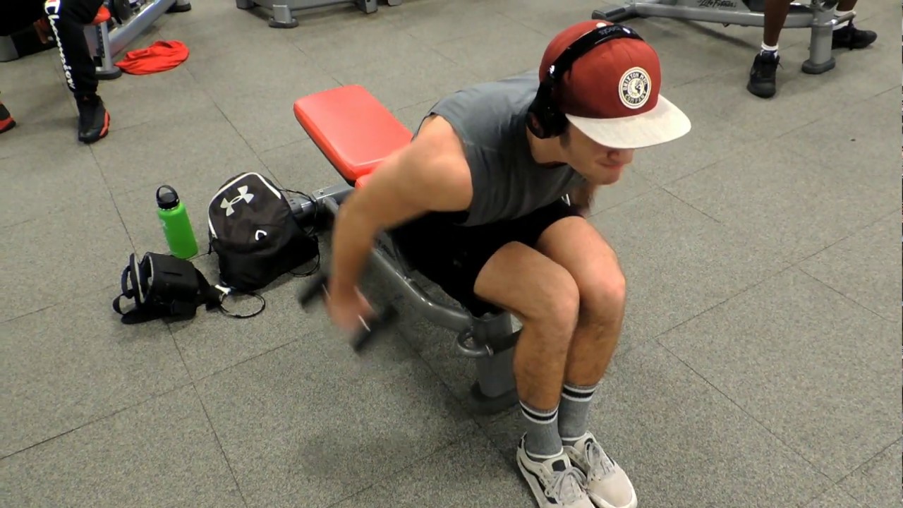 Seated Rear Delt Kickback - YouTube