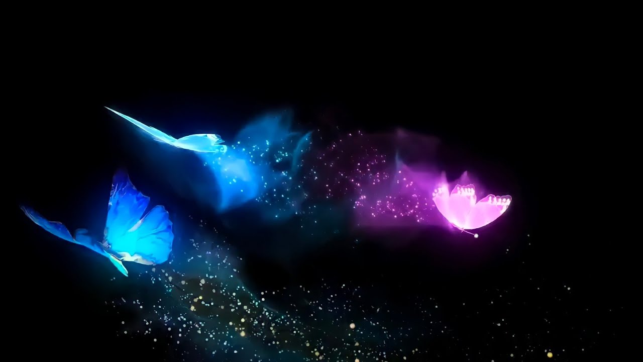 Butterfly Template kinemaster#🎥kinemaster ,videos, Templates,#songs ...