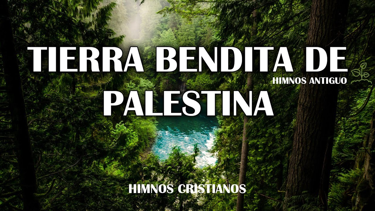 Himno Tierra Bendita Divina Palestina Online | varsana.com