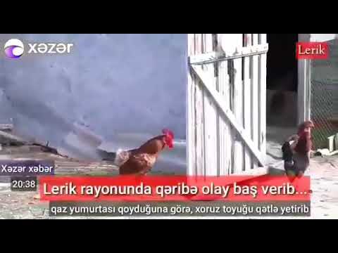 Toyugun xoruza xeyaneti pirkol)
