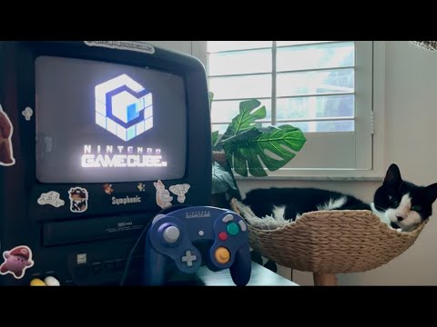 GameCube start up with my cat, Penguin - YouTube