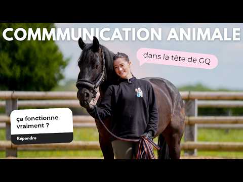 3 ÉTAPES POUR COMPRENDRE MON CHEVAL