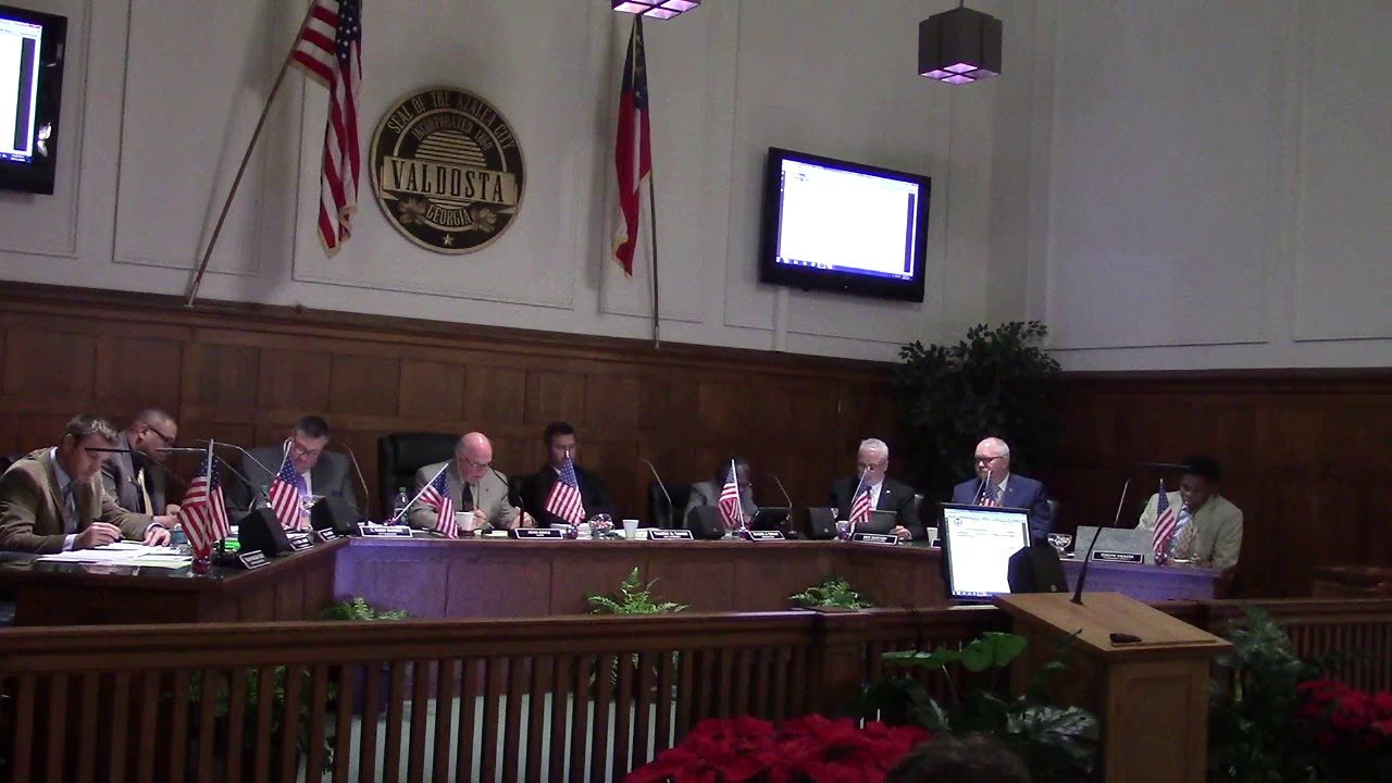 7.c. Appoint Aneesha Johnson to Valdosta-Lowndes Development Authority ...