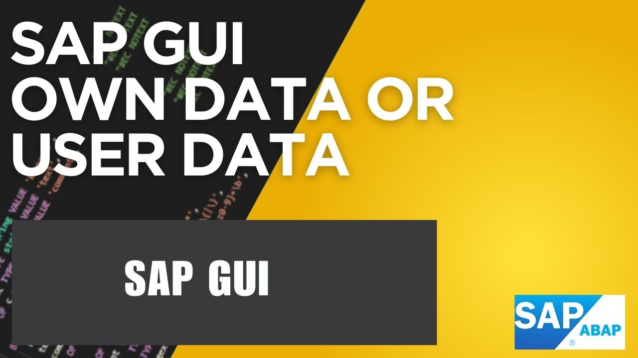 18 - SAP OWN DATA or SAP USER DATA | OWN DATA | USER DATA | SAP in ...