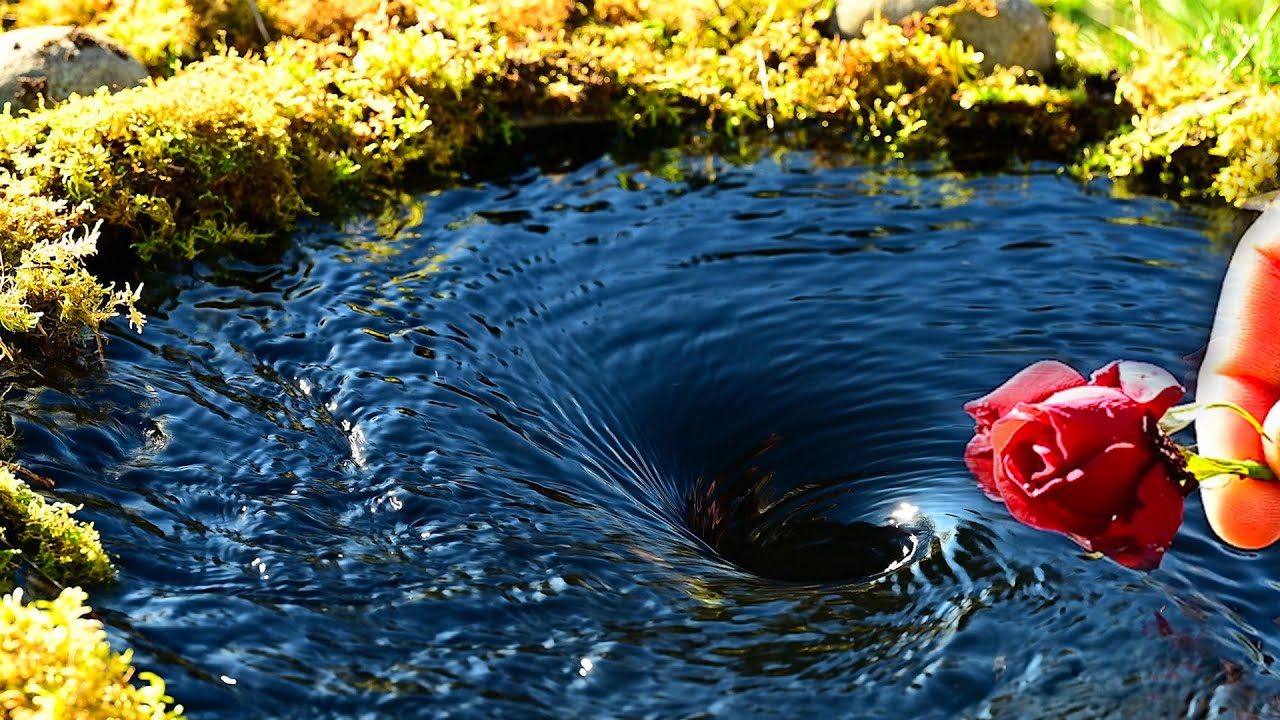Big Whirlpool vs Rose - YouTube