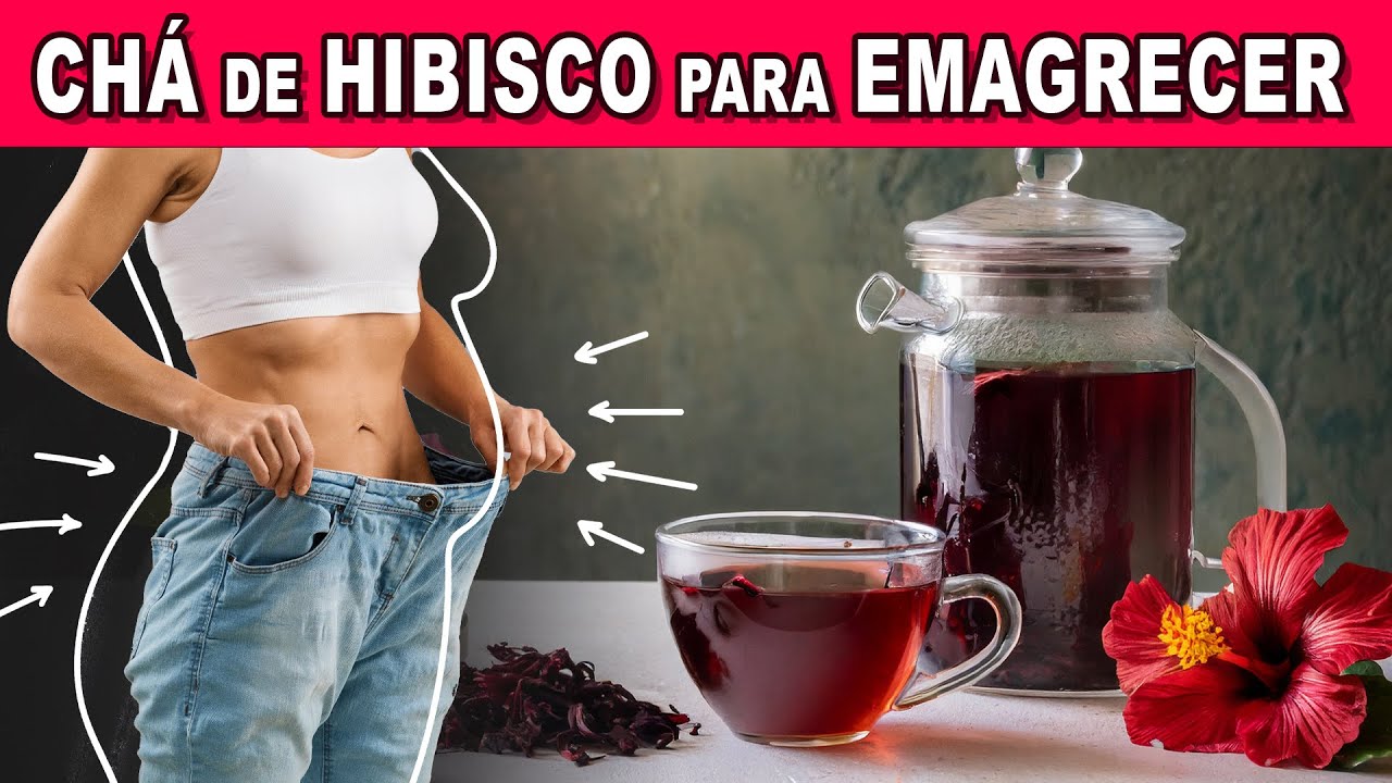 CHÁ DE HIBISCO para EMAGRECER - USE ASSIM e Veja O QUE ACONTECE! (Dicas ...