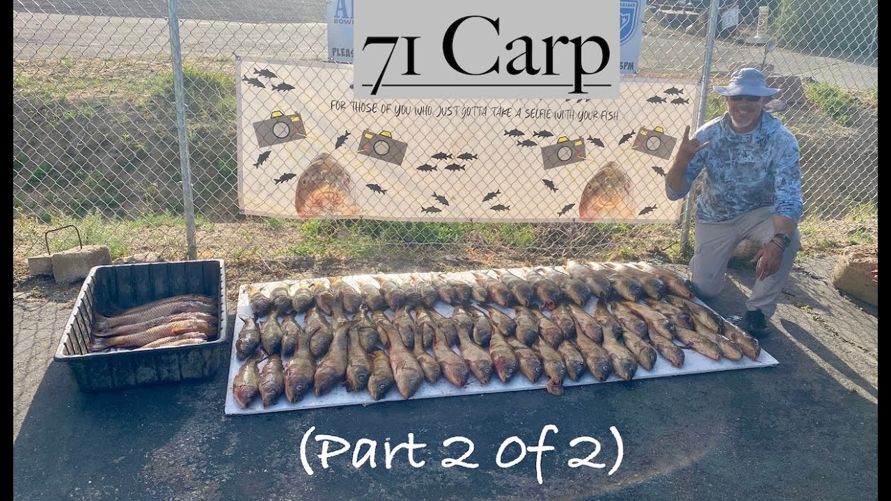 71 Carp - Epic Bow fishing day (Part 2 of 2) - YouTube