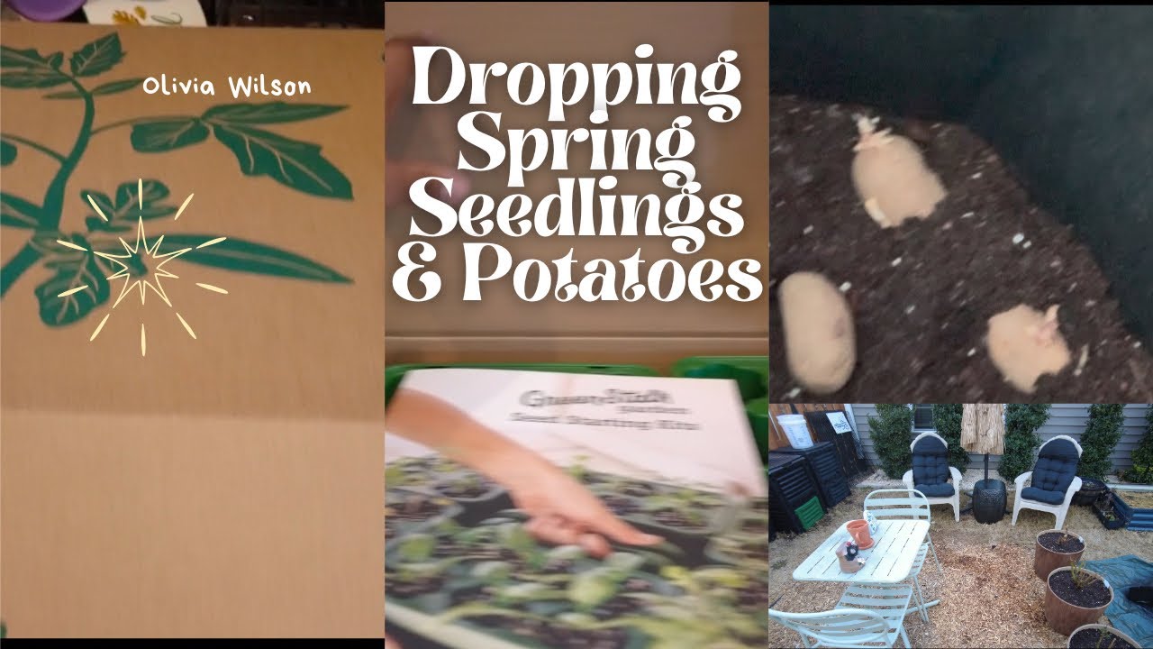 Dropping seeds in the new GreenStalk seed trays and planting potato seeds. - YouTube