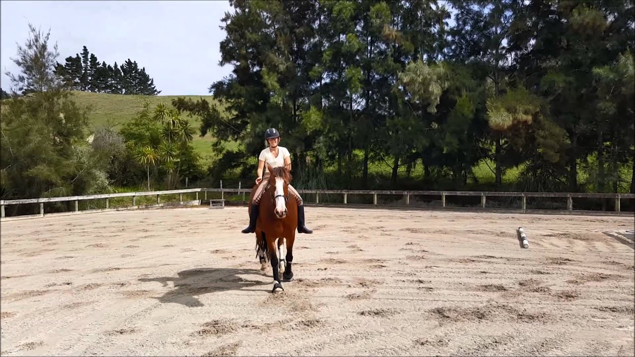 bitless bridle and bareback jumping course 1 metre - YouTube