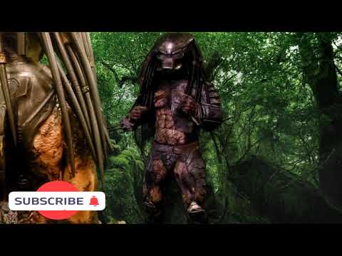 Predator Fit Test 2.0