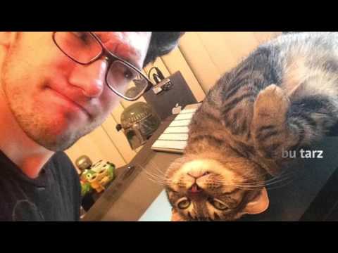 Kedisi Olan Erkeklerin Tam Evlenilecek Erkekler Olduğunun İspatı