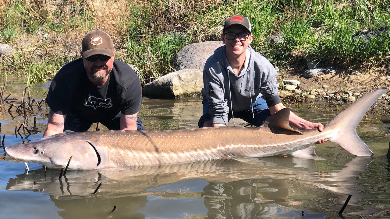 Catching True River Monsters (Cousin's First Sturgeon) - YouTube