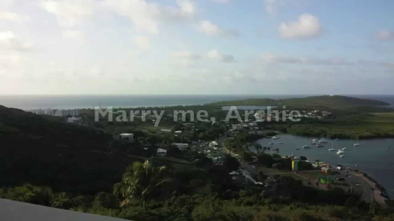 Alvvays - Archie, Marry Me (Lyrics on Screen) - YouTube