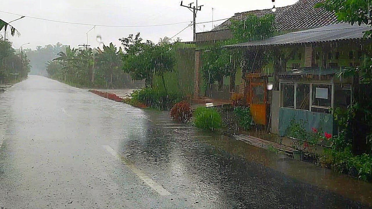Beautiful Rainy Season | But Heavy Rain And Strong Winds Knocked Down a ...
