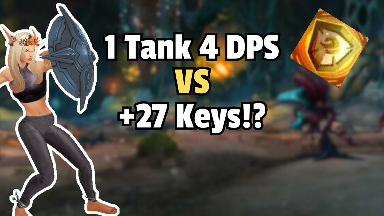 1 Tank 4 DPS still works? Protection Paladin PoV - YouTube