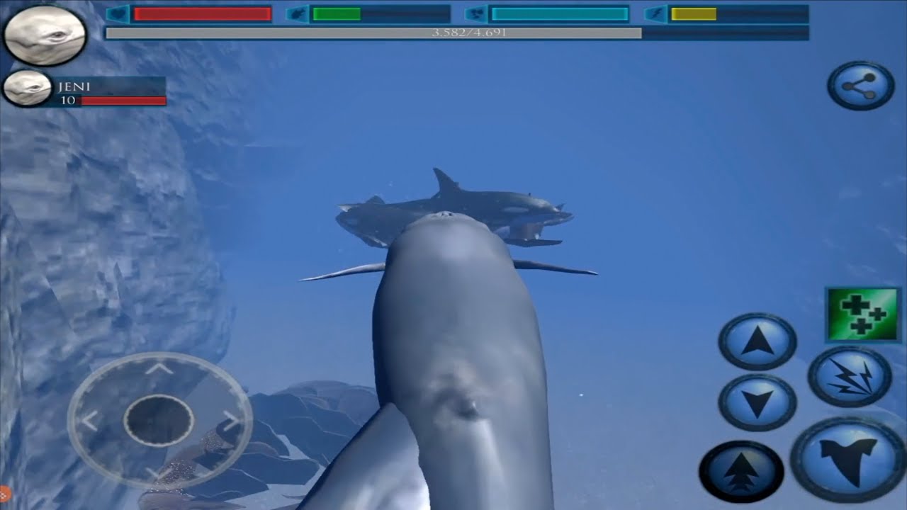Blue Whale VS Orca, Shark, Part 2, Ultimate Ocean Simulator - YouTube
