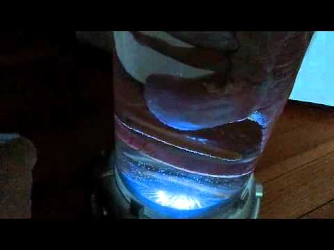Aliens facehugger stasis tube PROPS Custom 2010 - YouTube