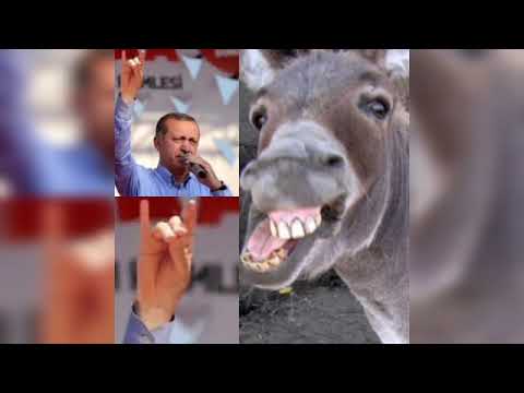 Erdogan û bavê wî