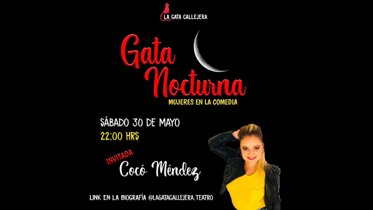 Gata Nocturna | Coco Mendez - YouTube