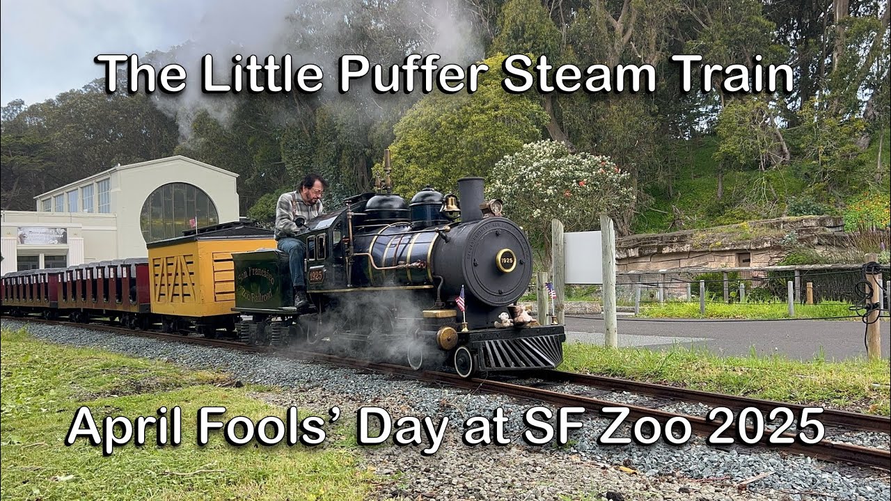 Little Puffer Steam Train at San Francisco Zoo Full Ride on April Fools ...
