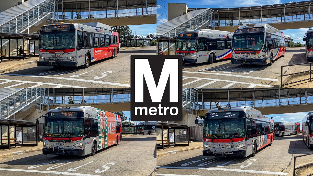 WMATA Metrobus Compilation at New Carrollton - YouTube