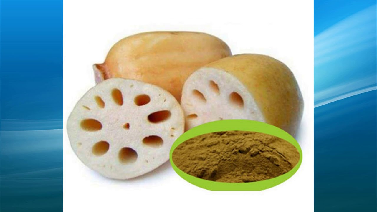 lotus root extract supplier,wholesale,bulk,factory - YouTube