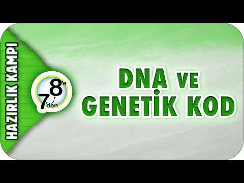DNA ve Genetik Kod 📗 7'den 8'e Hazırlık Kampı #78FEN2 #2026