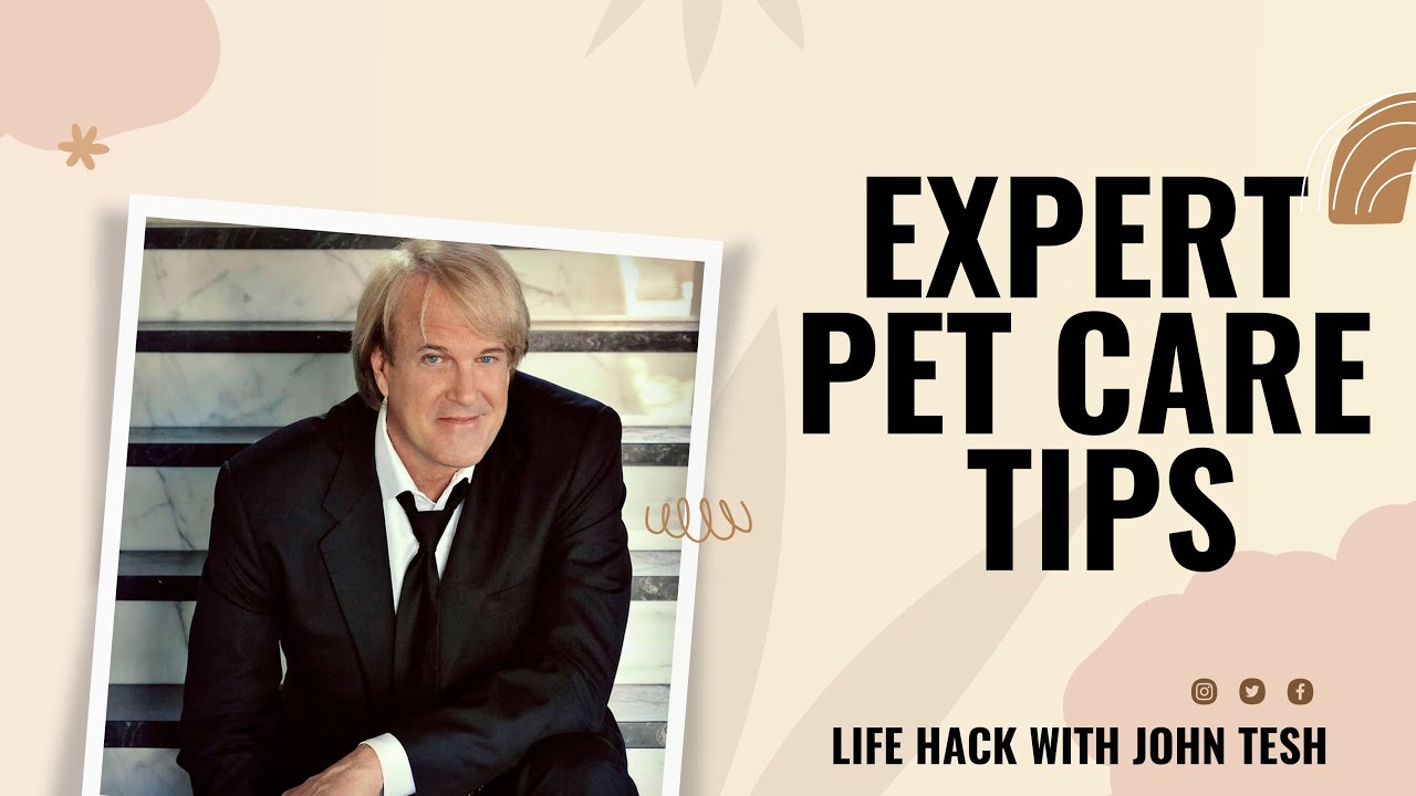 Expert Pet Care Tips | Life Hack with John Tesh - YouTube