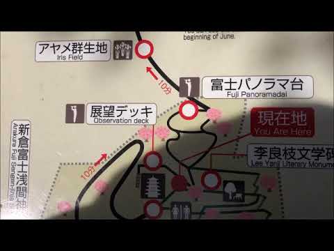 Visiting Churei tower Mt Fuji - YouTube