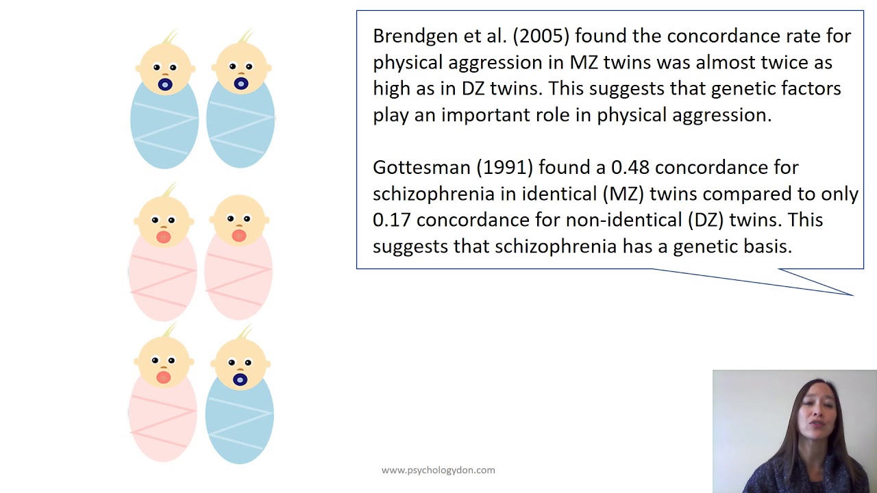 twin studies cartoon - YouTube