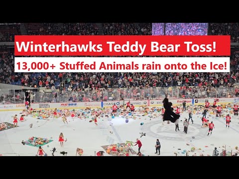 Thousands Of Teddy Bears Rain Down On Ice For Good Cause - YouTube