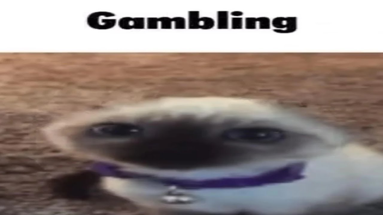 WHERE IS SMILEY?! - YouTube