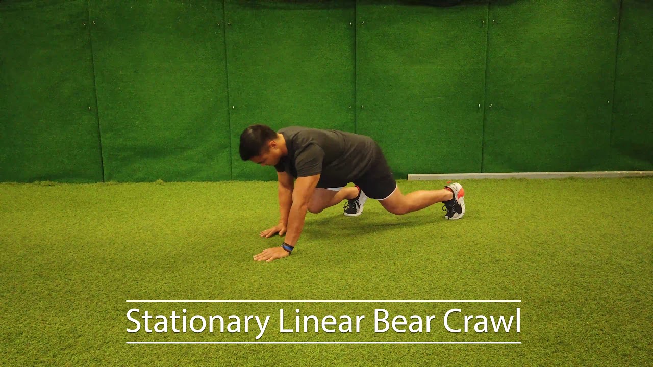 Stationary Linear Bear Crawl - YouTube