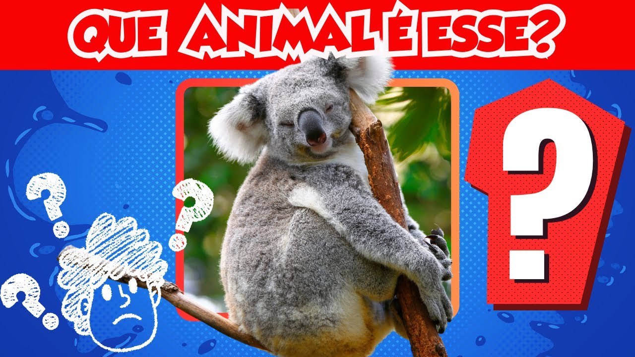 QUE ANIMAL É ESSE? SERÁ QUE CONHECE TODOS? - YouTube