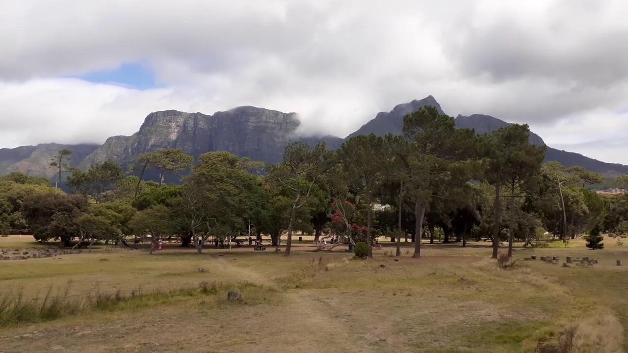 Keurboom Park, Claremont, Cape Town. - YouTube