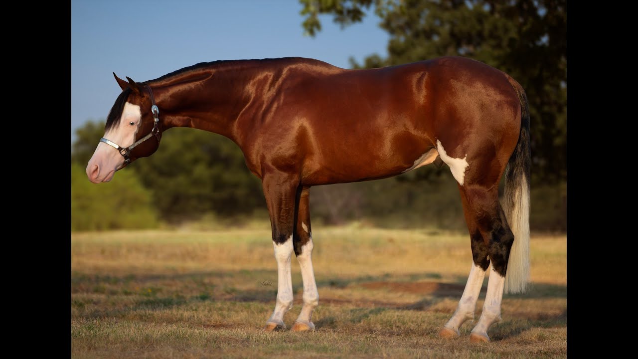 Spooks Stingray - YouTube